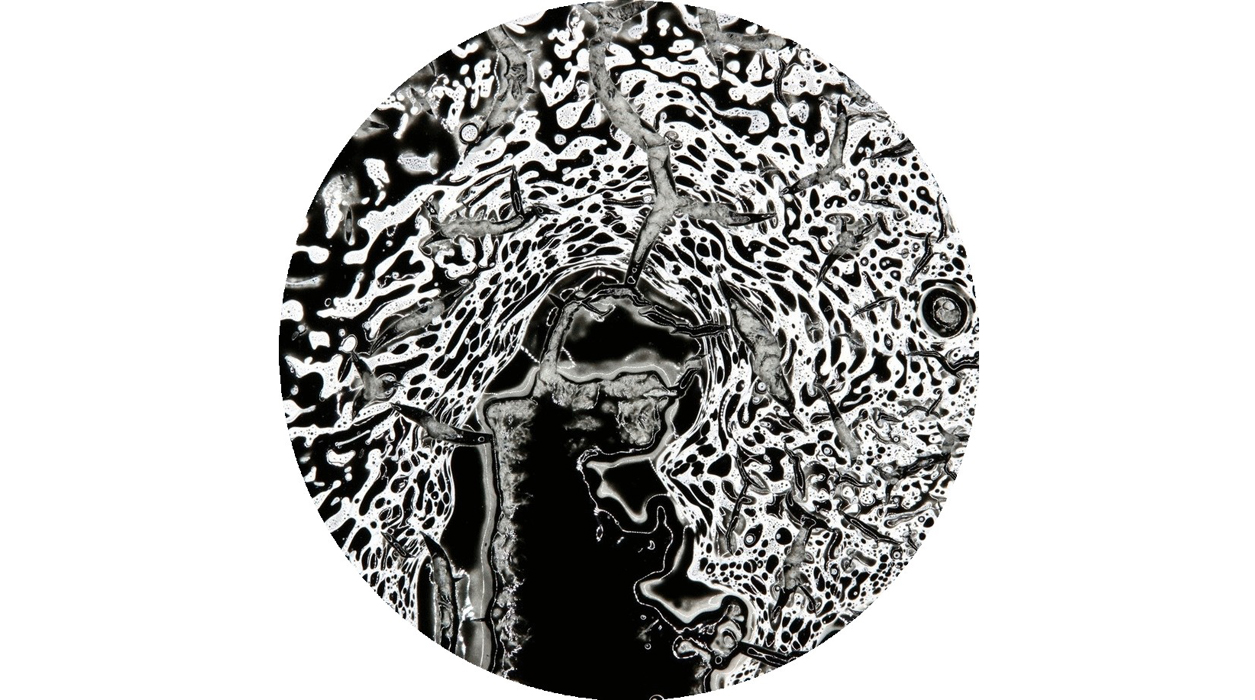 The Next Decoration - Part I: Ομαδική έκθεση στην Art Appel Gallery ...