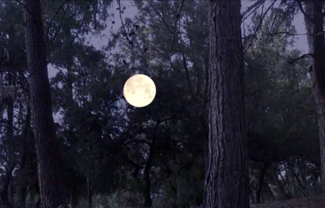 10 Έλληνες Καλλιτέχνες για το πρότζεκτ "Κατάγειος" στην Ιταλία ...