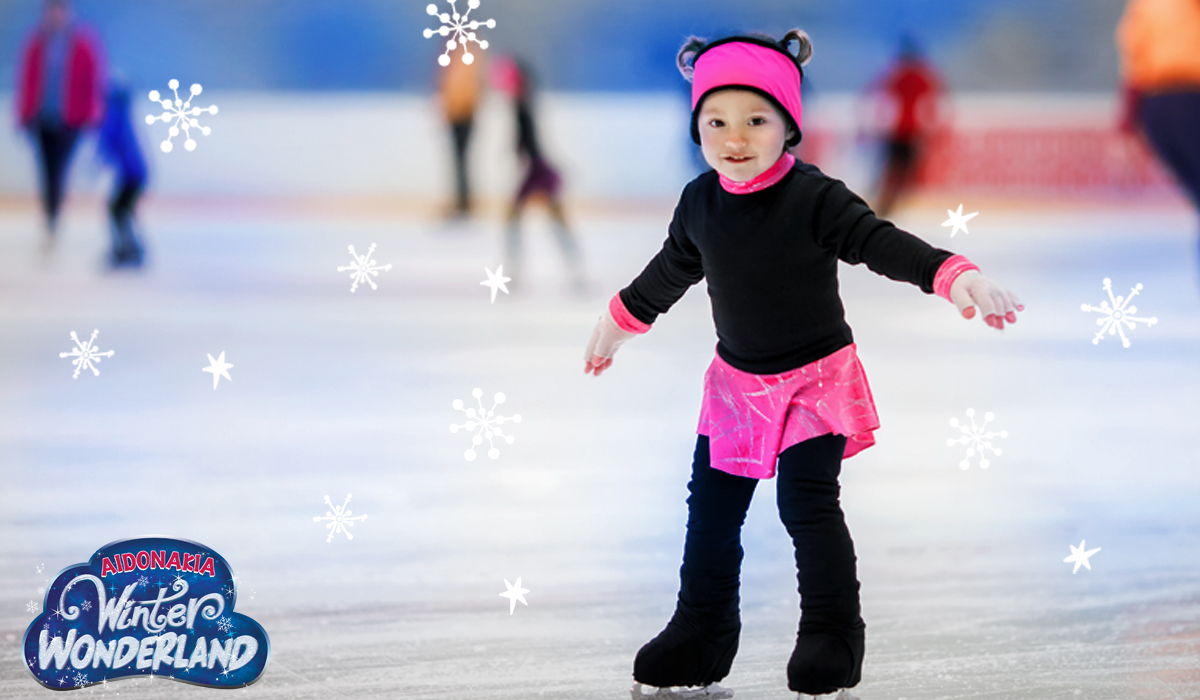 Aidonakia Winter Wonderland: Μαγικές γιορτές στη χώρα των θαυμάτων στα ...