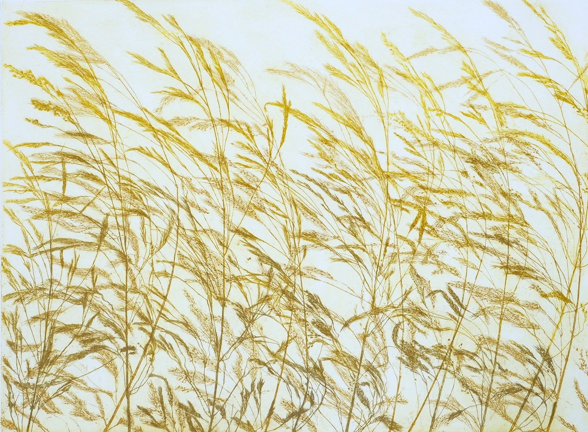 Pino Pandolfini - Flora effimera: Έκθεση στον χώρο τέχνης Etch Ink ...